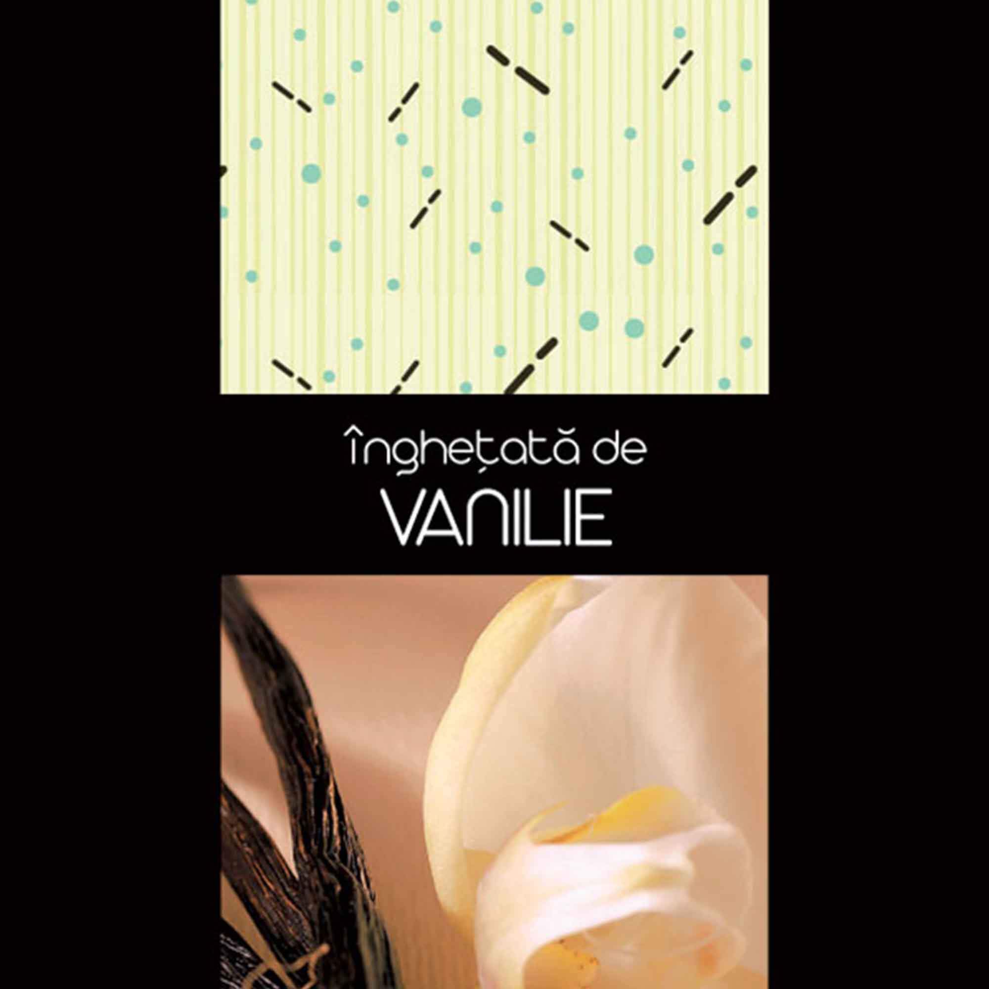 Inghetata de vanilie Bourbon 2.5l - Bocado